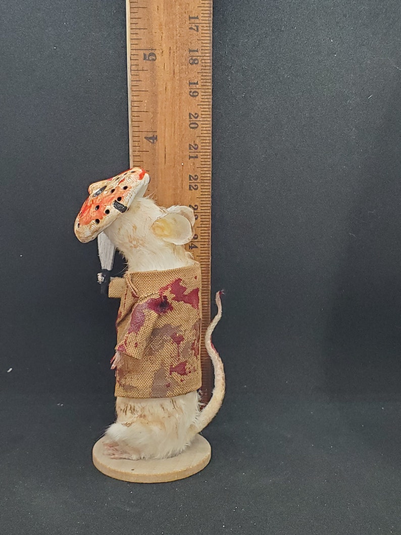 Jason Taxidermy Mouse - Etsy