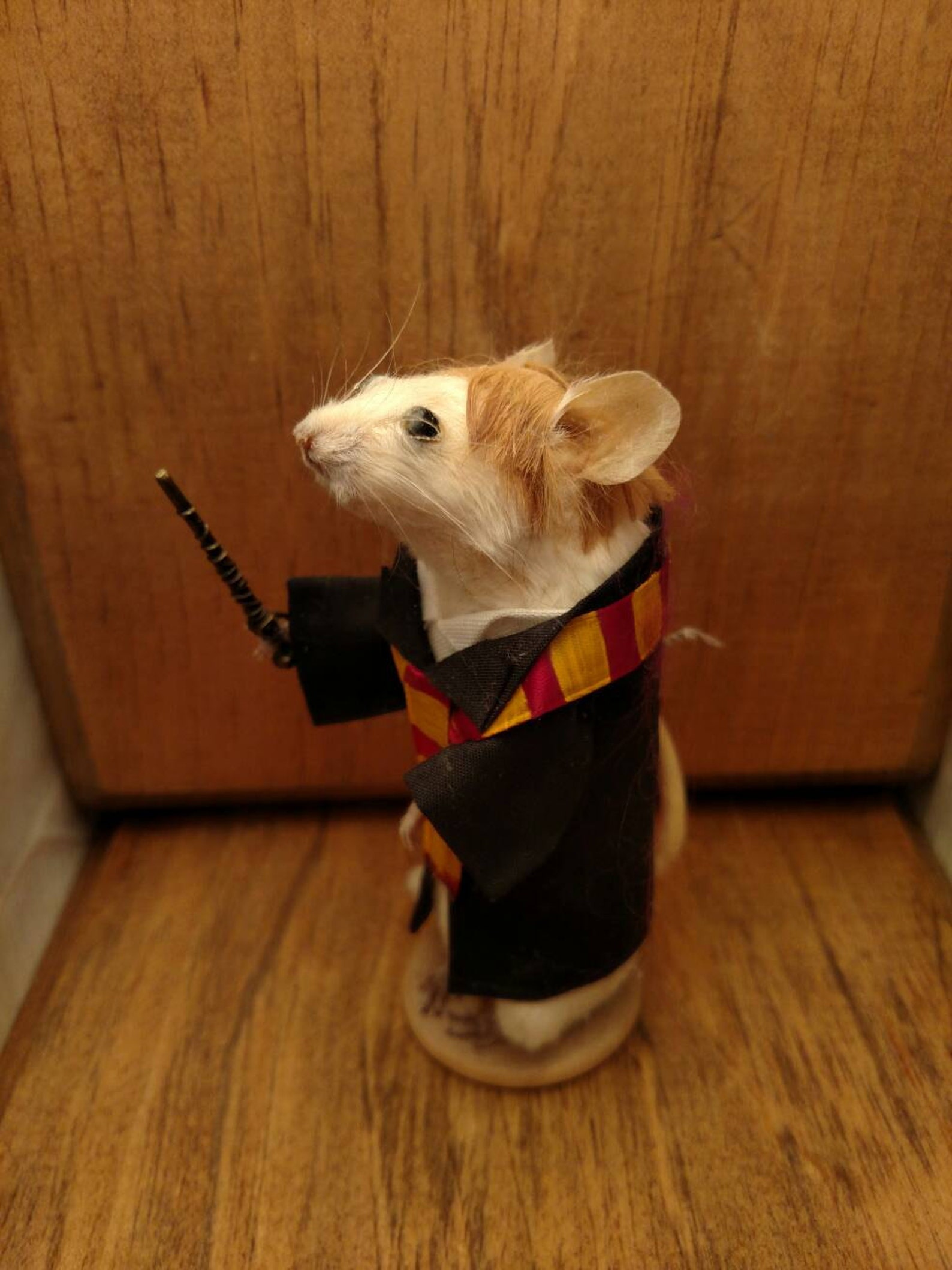 Ron Wizard Taxidermy Mouse - Etsy
