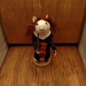 Hermione Wizard Taxidermy Mouse - Etsy