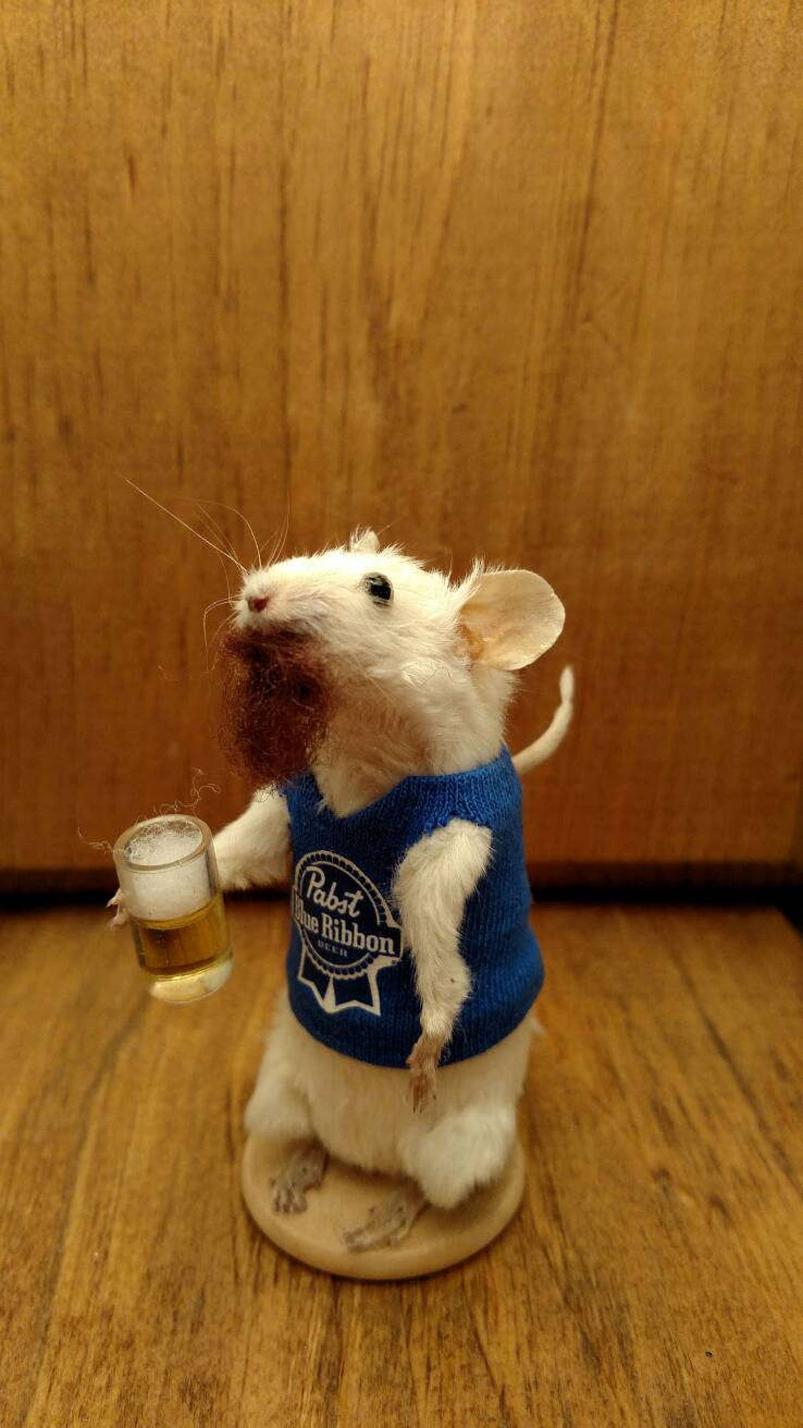 Bearded Beer Drinker Taxidermy Mouse - Etsy