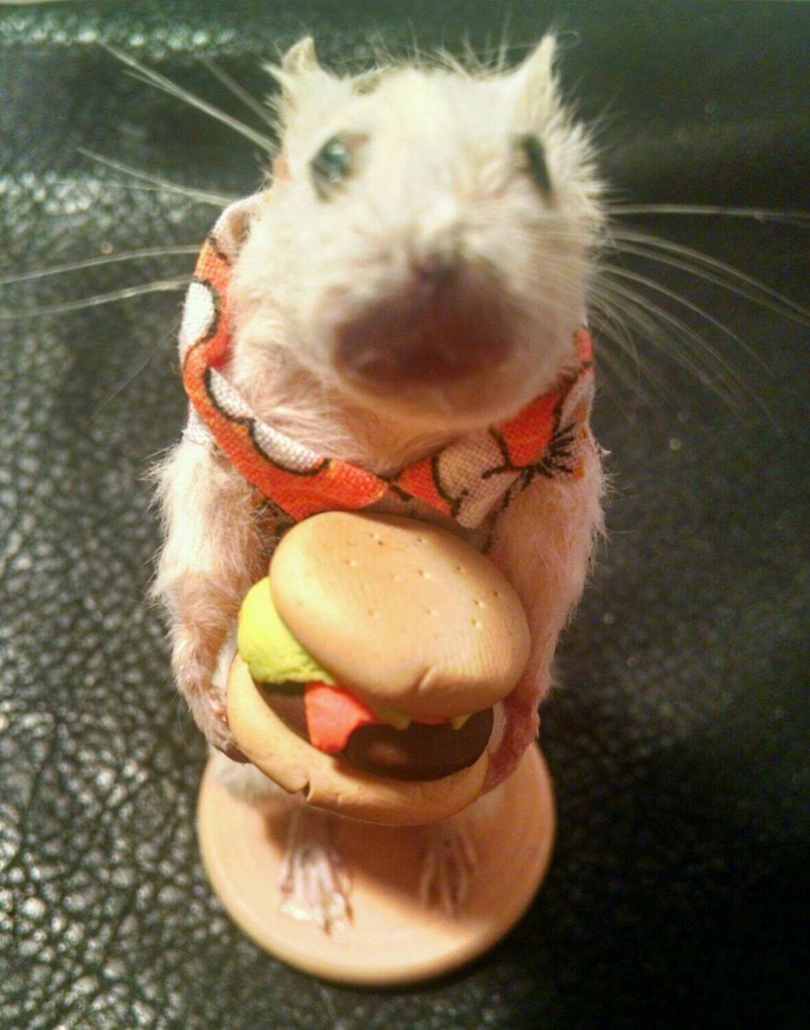 Burger Time Taxidermy Mouse - Etsy