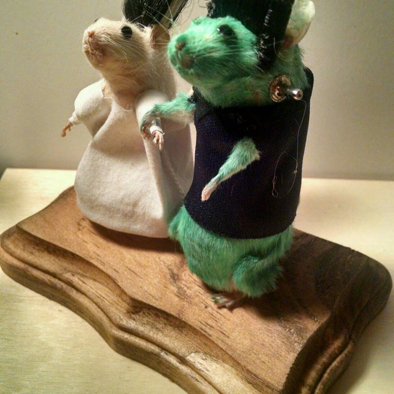 Taxidermy Rat - Etsy