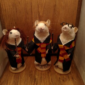 Hermione Wizard Taxidermy Mouse - Etsy