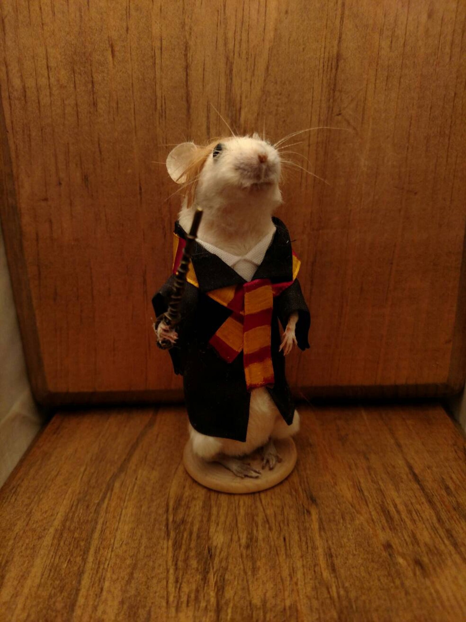 Ron Wizard Taxidermy Mouse - Etsy