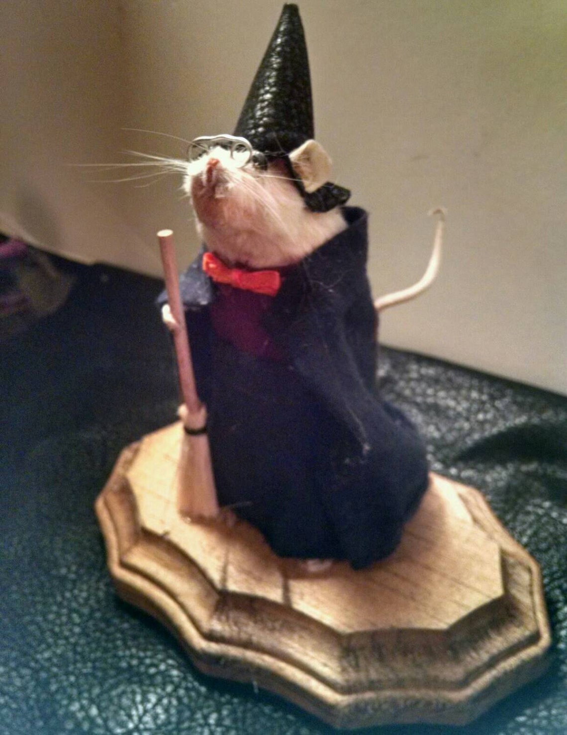 Taxidermy Mouse Witch | Etsy
