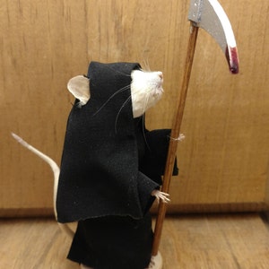 Grim Reaper Taxidermy Mouse - Etsy