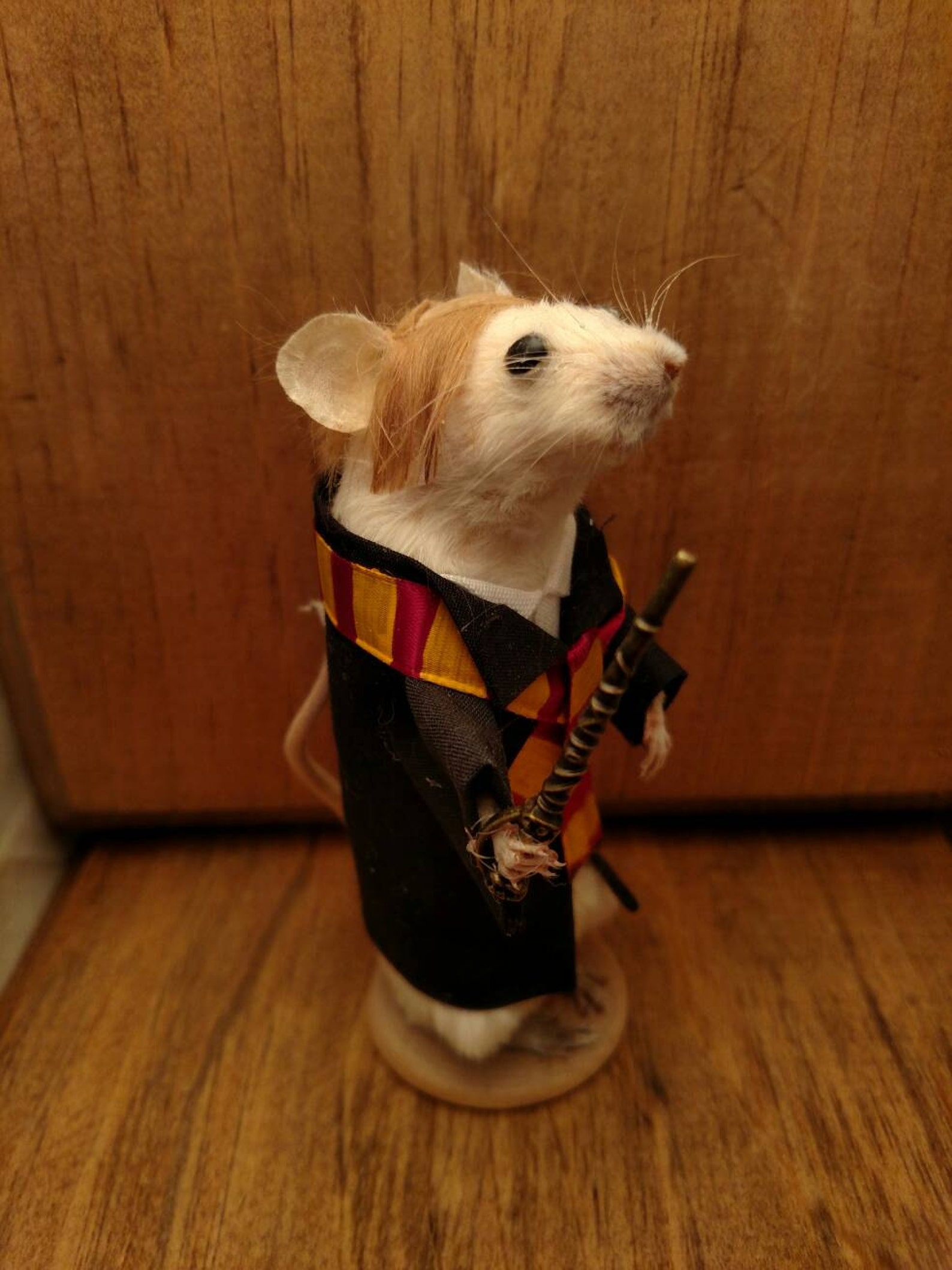 Ron Wizard Taxidermy Mouse - Etsy