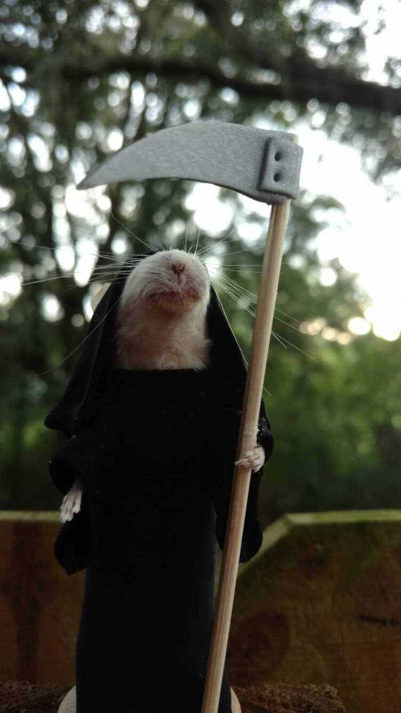 Grim Reaper Taxidermy Mouse - Etsy