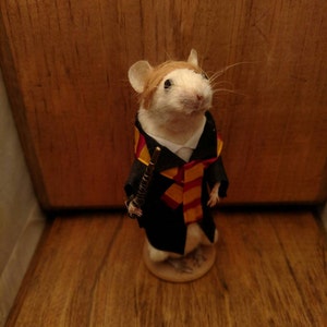 Ron Wizard Taxidermy Mouse - Etsy