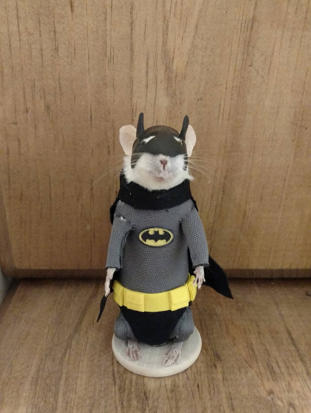 The Bat Taxidermy Mouse - Etsy