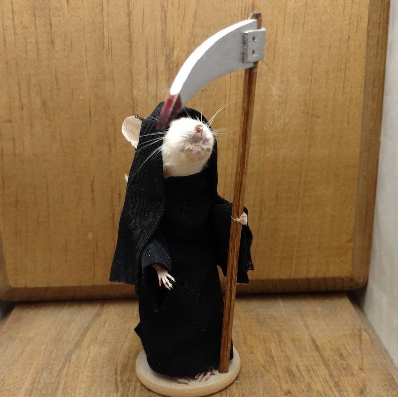 Grim Reaper Taxidermy Mouse - Etsy