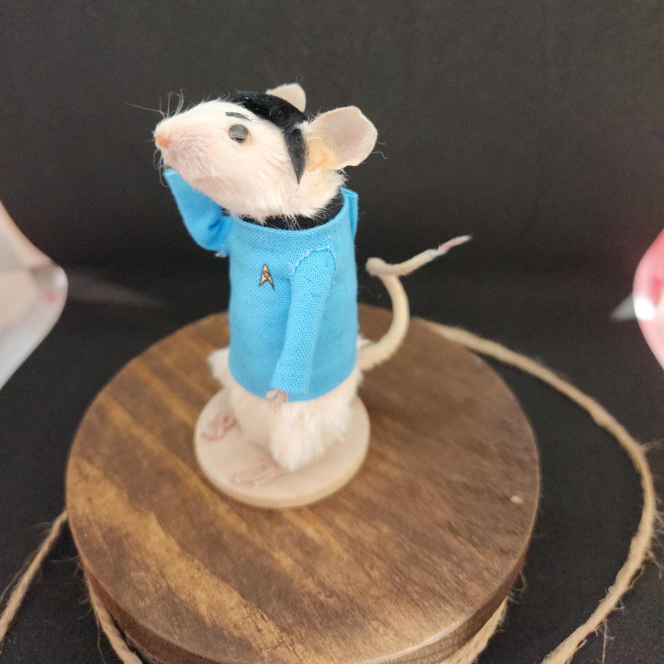 Vulcan Taxidermy Mouse: Star Trek Fan Gift - Etsy