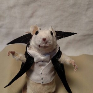 Taxidermy Mouse Dracula - Etsy