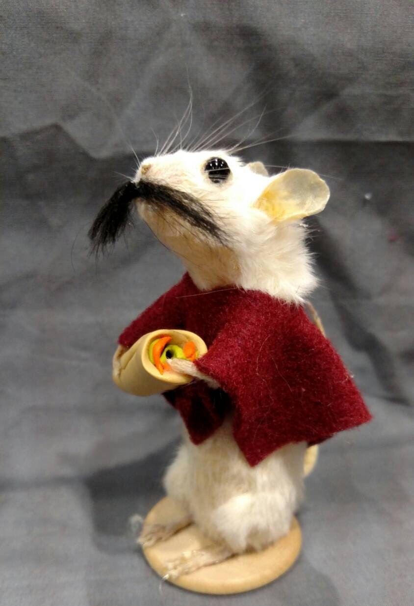 Enjoy Your Burrito Taxidermy Mouse - Etsy