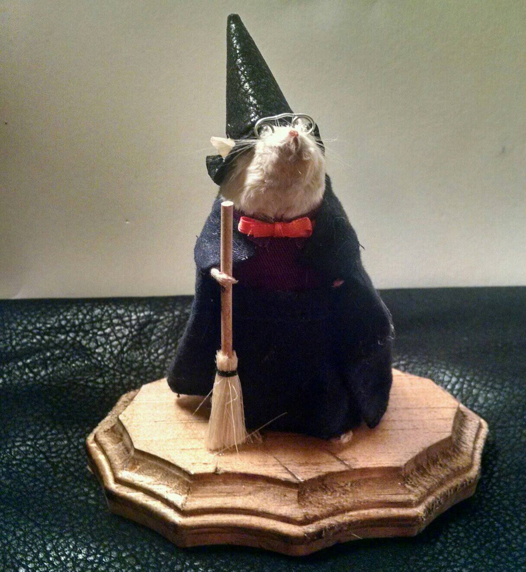 Taxidermy Mouse Witch - Etsy