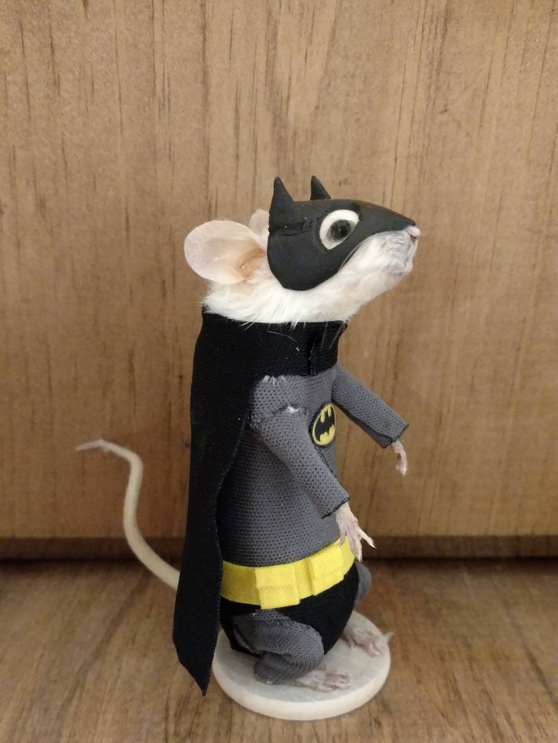 The Bat Taxidermy Mouse - Etsy