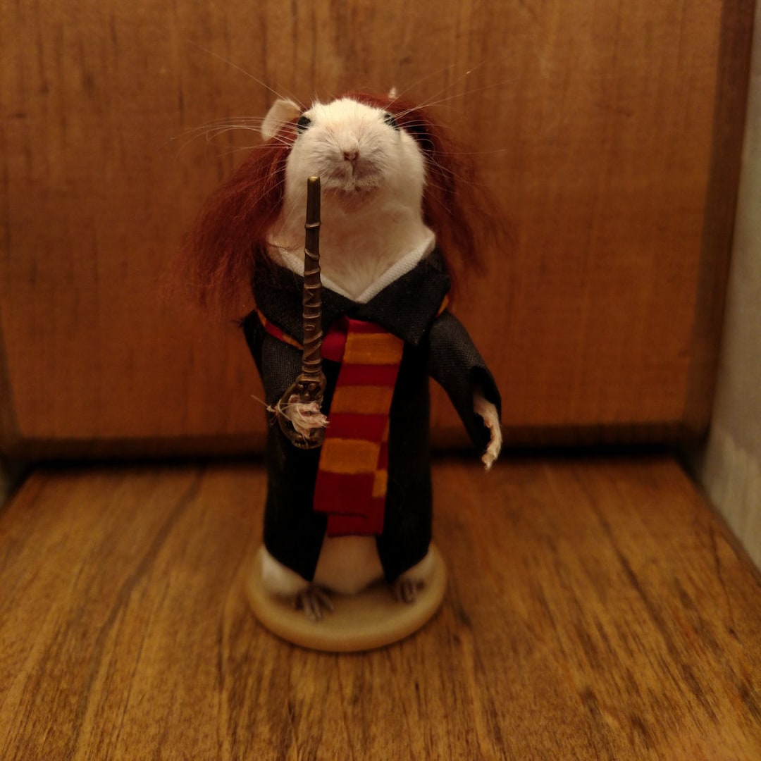 Hermione Wizard Taxidermy Mouse - Etsy