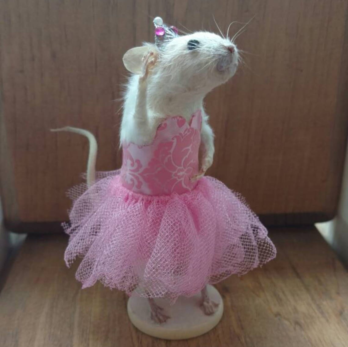 Taxidermy Mouse Ballerina - Etsy
