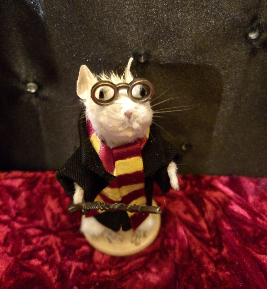 Harry Wizard Taxidermy Mouse - Etsy