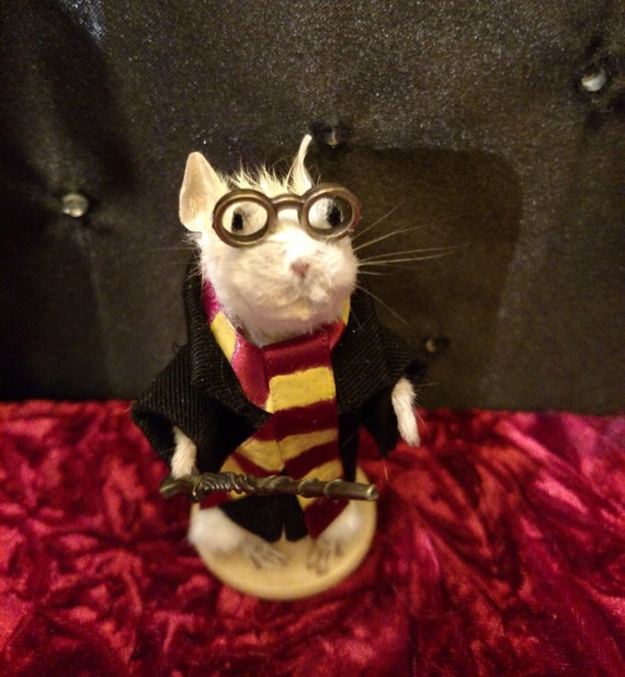 Harry Wizard Taxidermy Mouse - Etsy