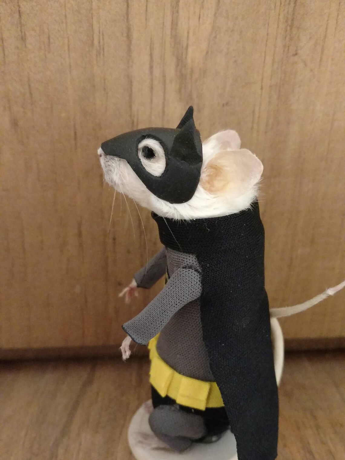 The Bat Taxidermy Mouse - Etsy