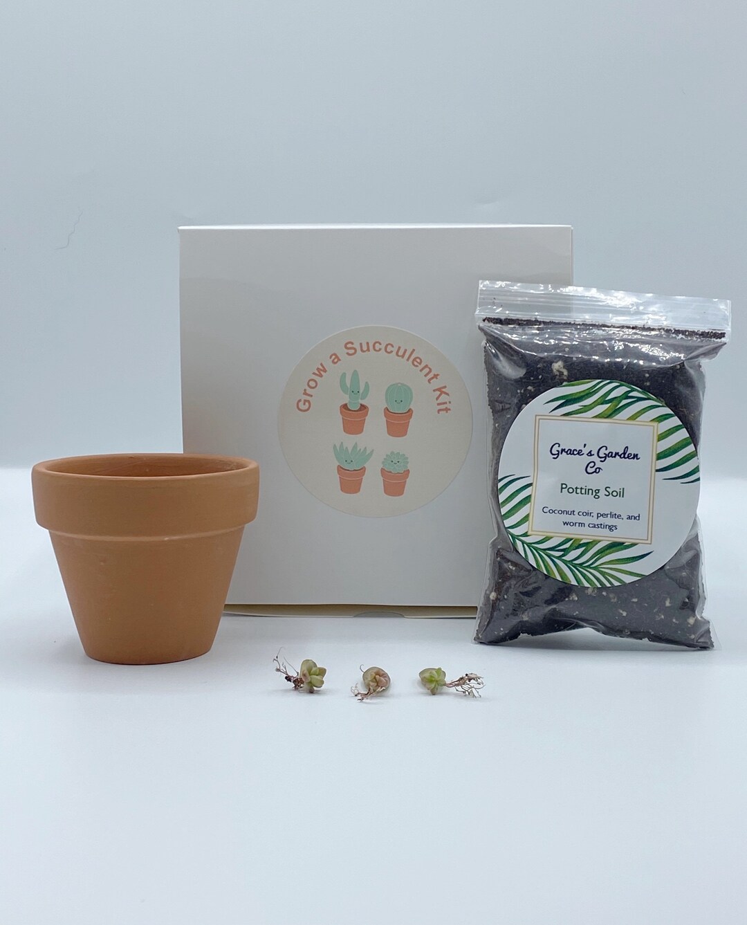 Grow a Succulent Kit, Gift for Plant Lovers, Sedeveria ‘pink Granite ...