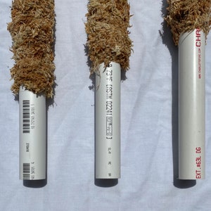 Sphagnum Moss Pole for Climbing Plants | PVC Moss Pole | 1ft, 2ft, 3ft ...
