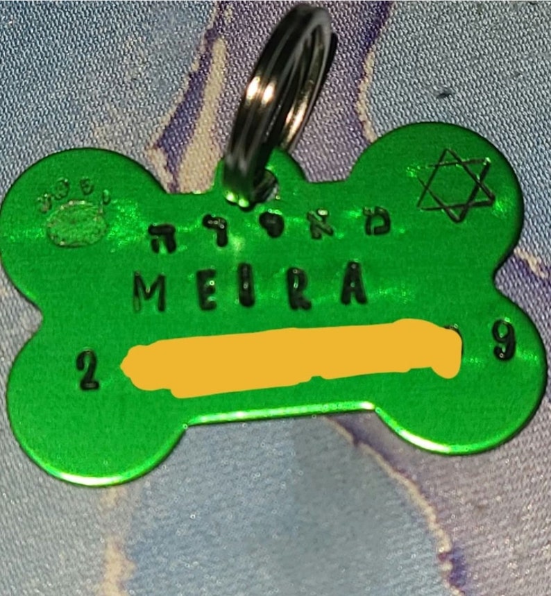 Hebrew and English Personalized ID Dog Tag - Etsy