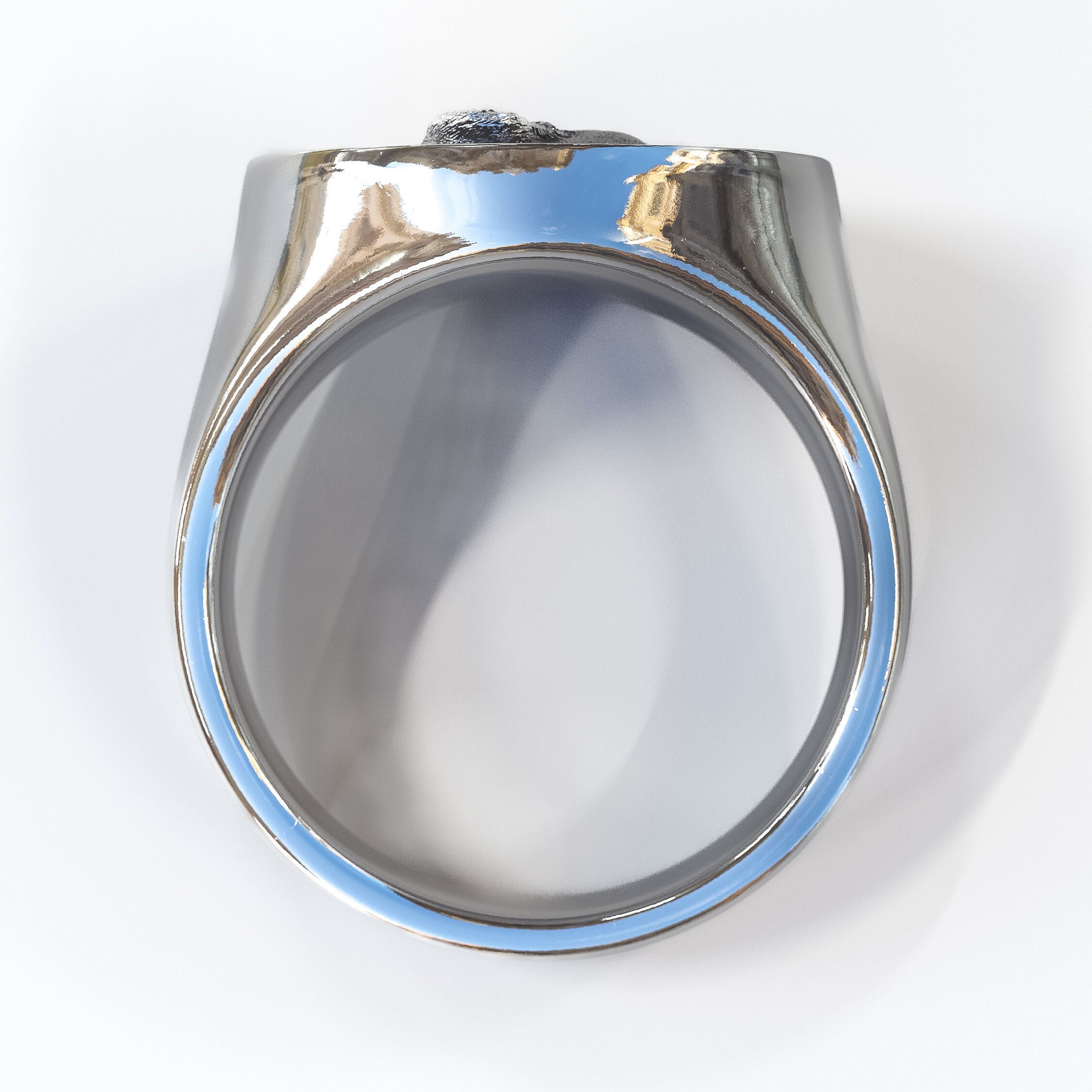 Lioness Signet Ring - Strength & Courage Jewelry Gift - Empowering Lion ...