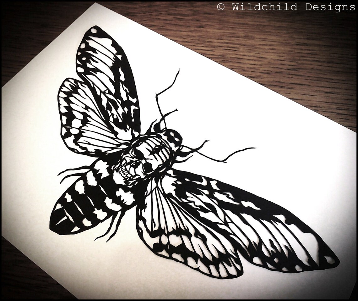 Death's Head Moth Paper Cutting Template Personal Use - Etsy
