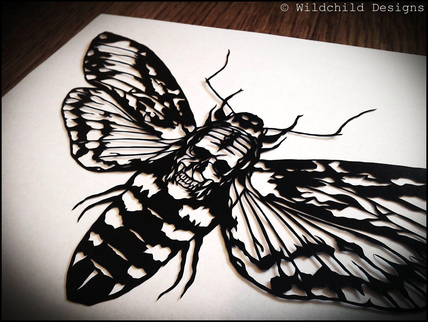 Death's Head Moth Paper Cutting Template Personal Use - Etsy Canada