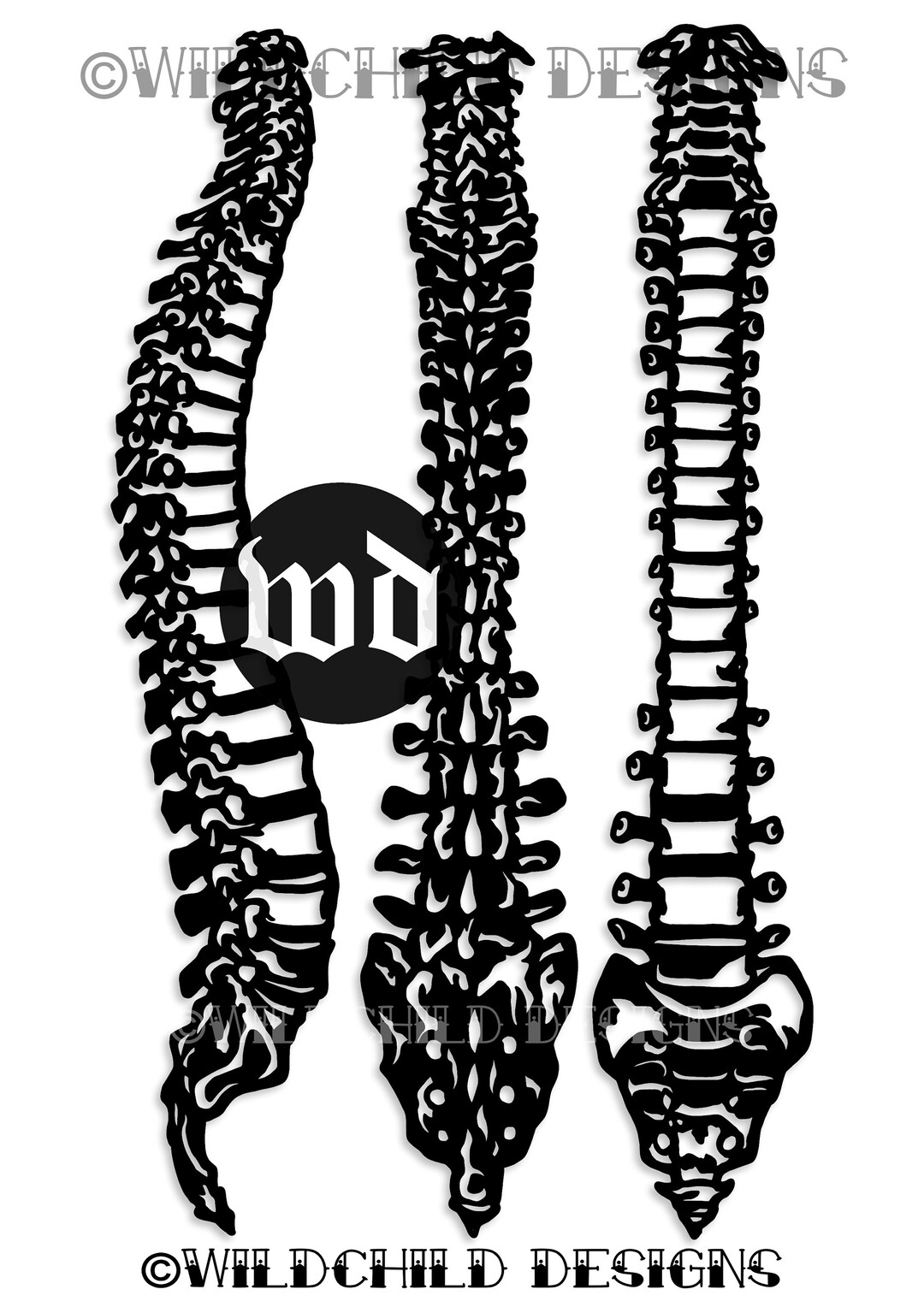 Spinal Cord Papercutting Template, Anatomical Template, Vinyl Template ...