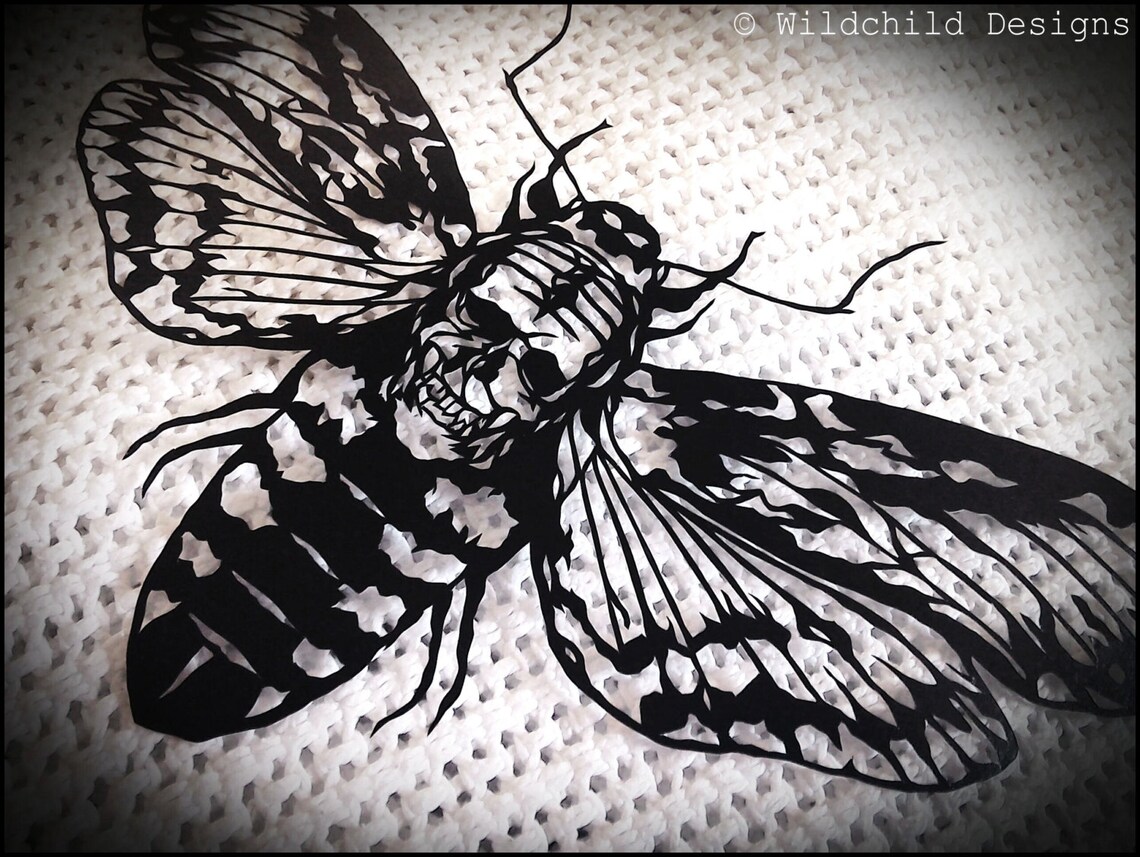 Death's Head Moth Paper Cutting Template Personal Use - Etsy Canada