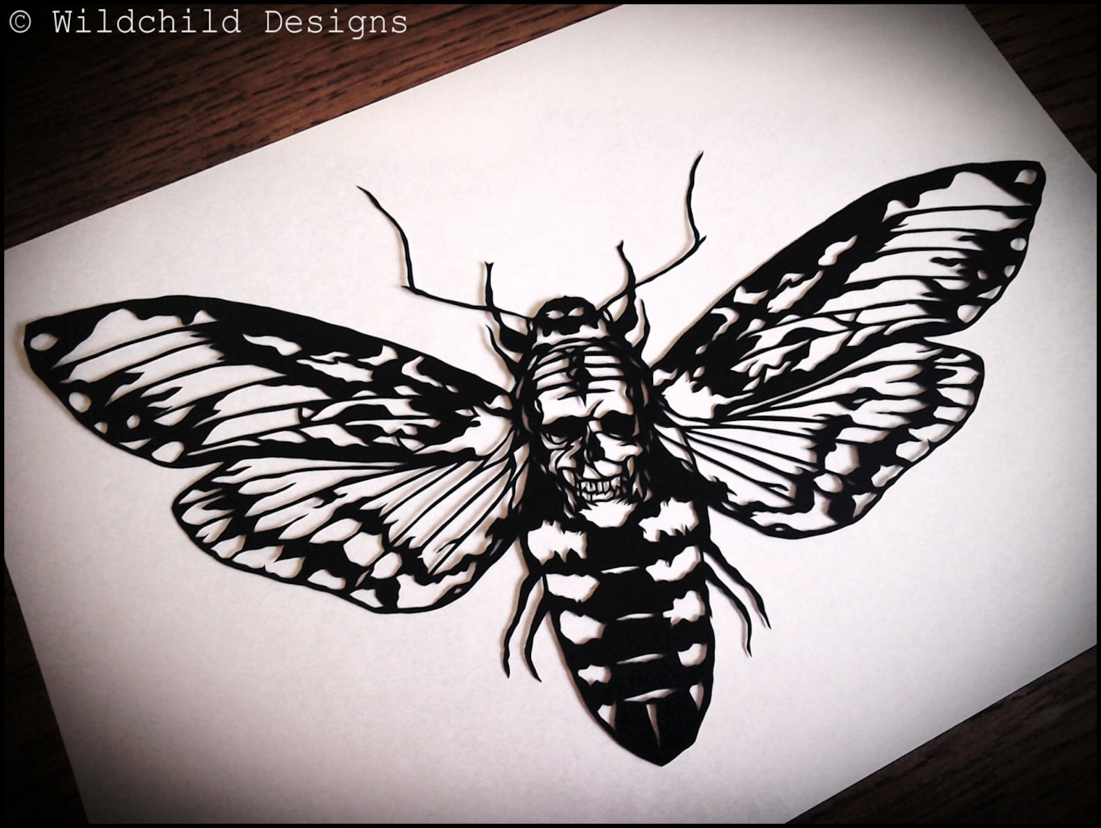 Death's Head Moth Paper Cutting Template Personal Use - Etsy Canada