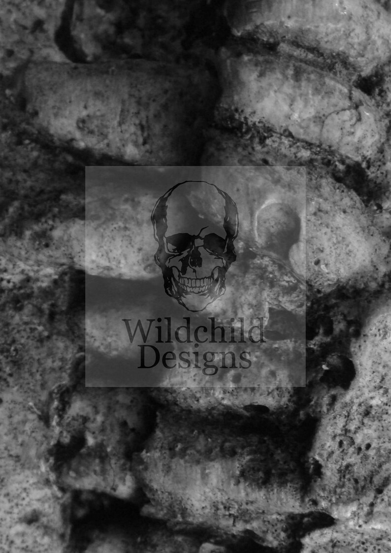 A4 Gothic Skull Backing Papers X 5 From Wildchild Designs - Etsy