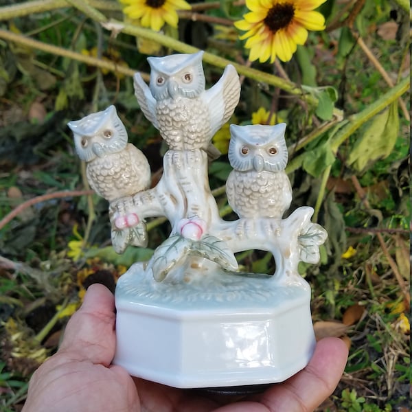 Owl Music Box - Etsy
