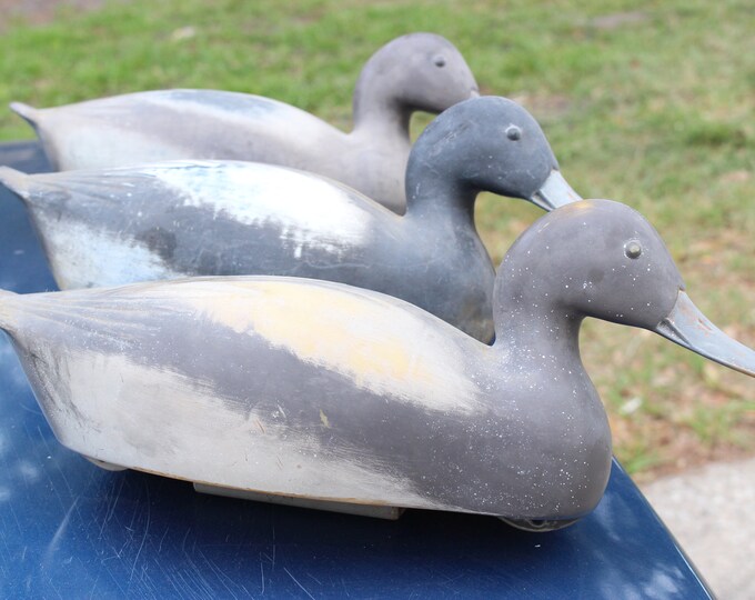 Vintage Plastic Decoy Ducks, Victor D9 Animal Trap Company of America ...