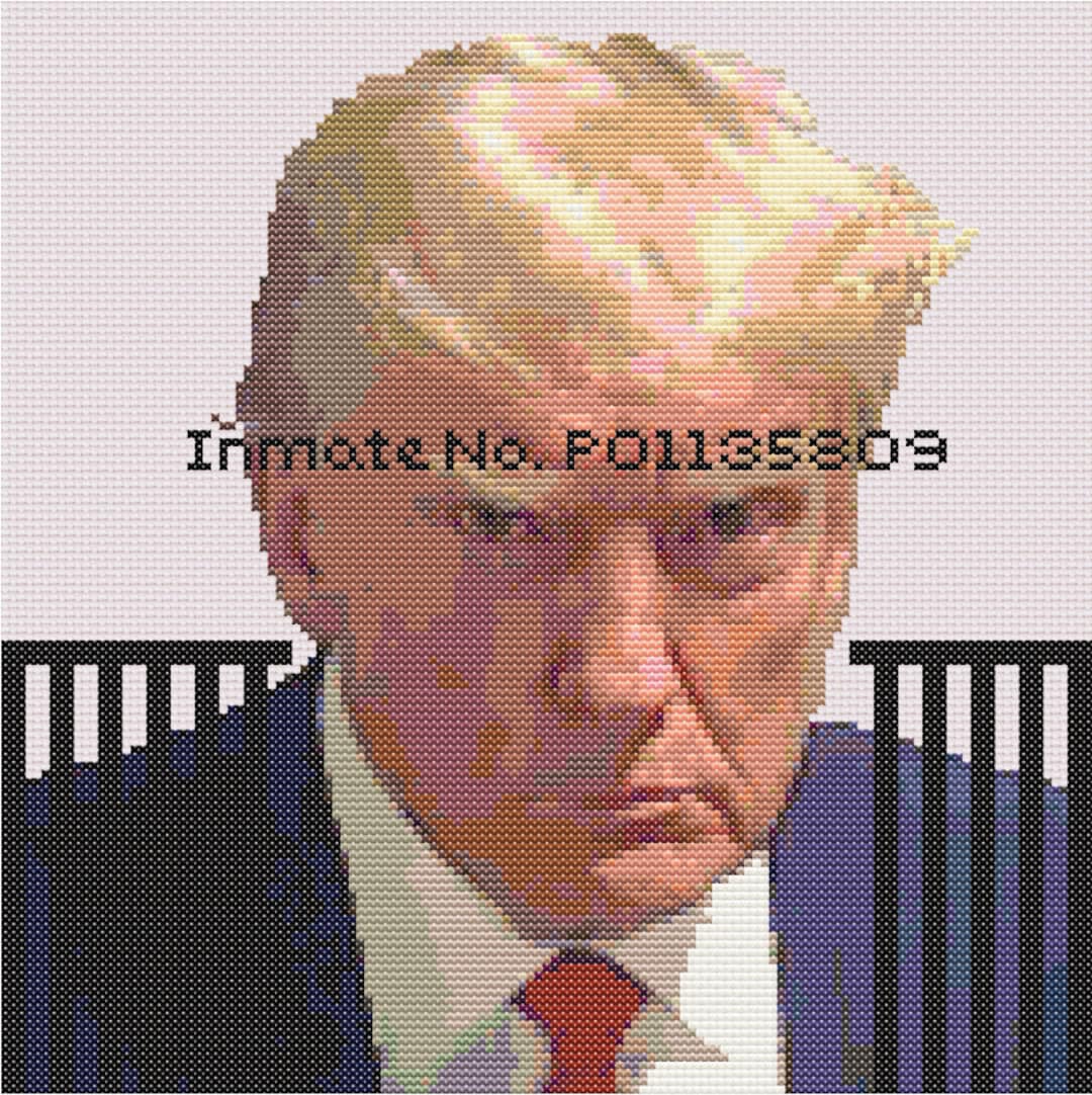Trump's Mugshot Cross Stitch Patterns Includes Two Patterns - Etsy