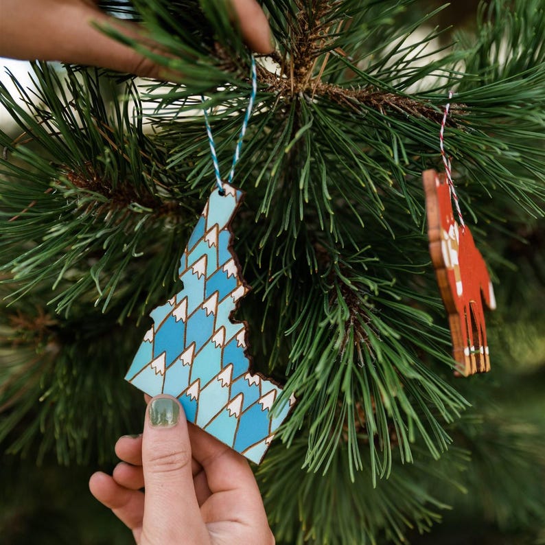 DIY Ornament Party Pack (diy Ornament Kit - Craft Kit - Diy Kits for ...