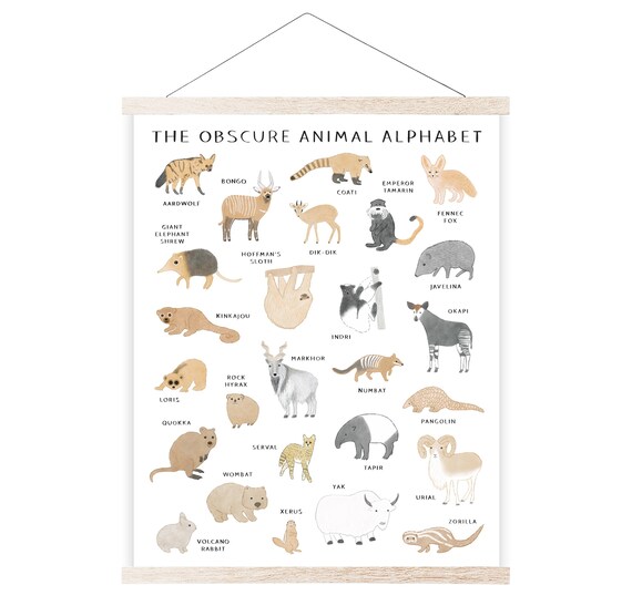 Obscure Animals Alphabet Page 23 | Animal Alphabet Png Images | PNGEgg