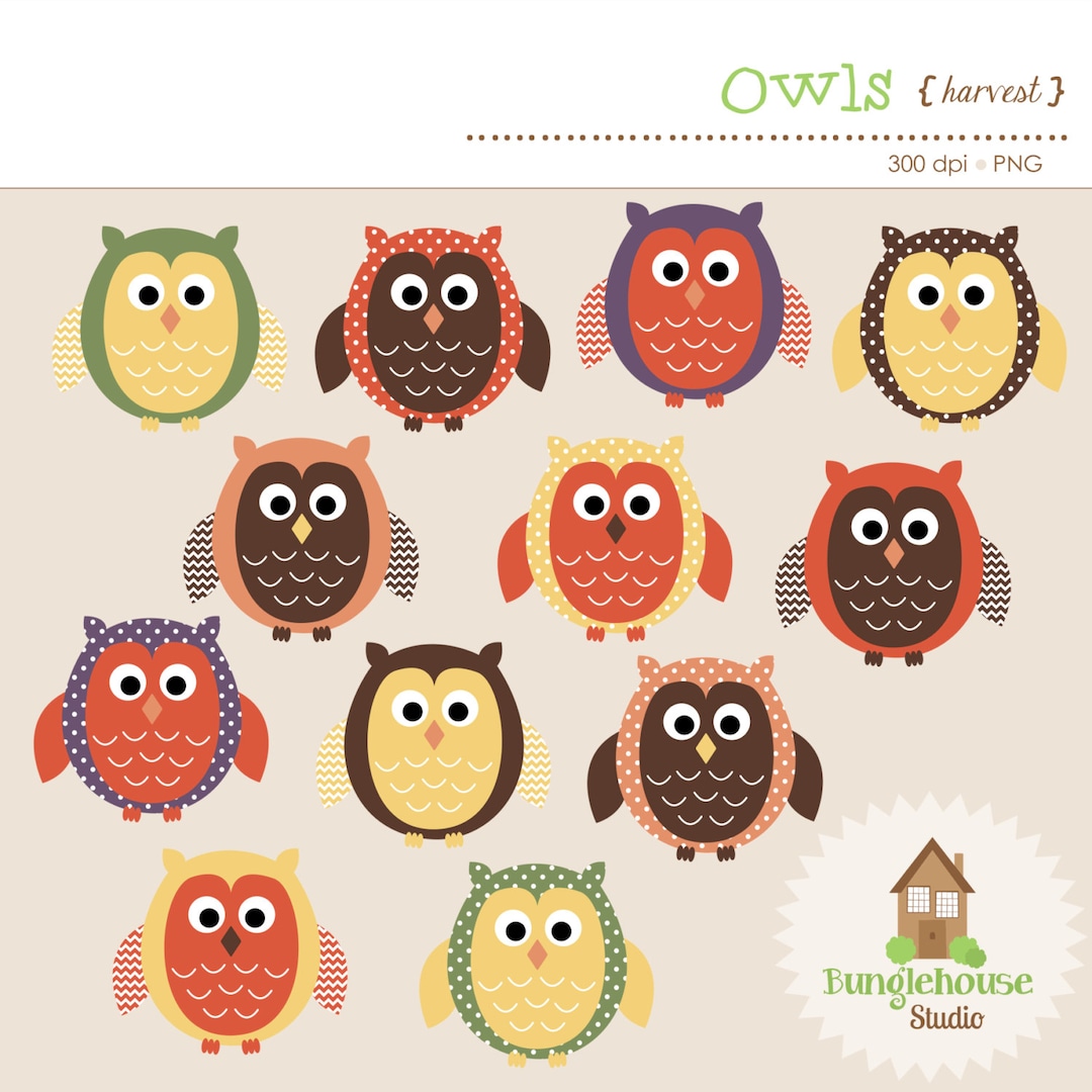 Cute Owl Clipart | Fall, Autumn Owls - Etsy