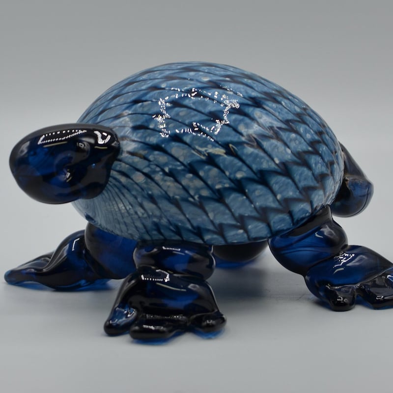 Large Turtle Shell - Etsy