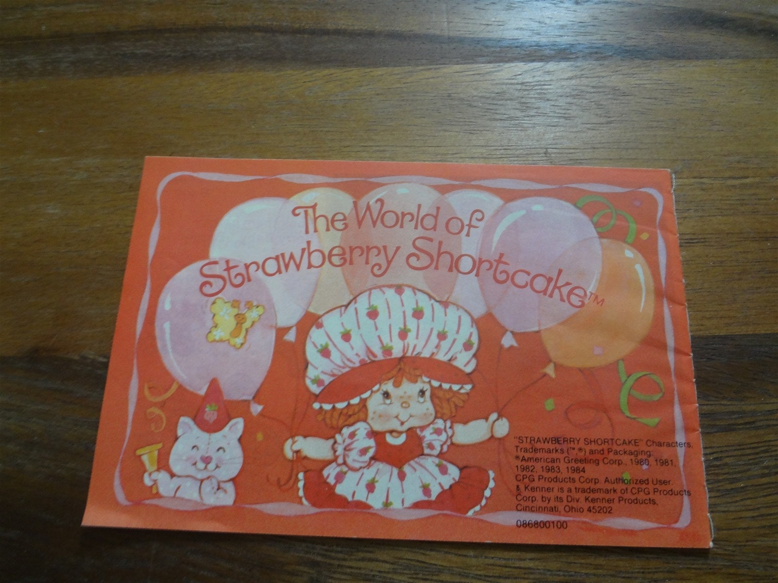 Strawberry Shortcake Booklet - Etsy