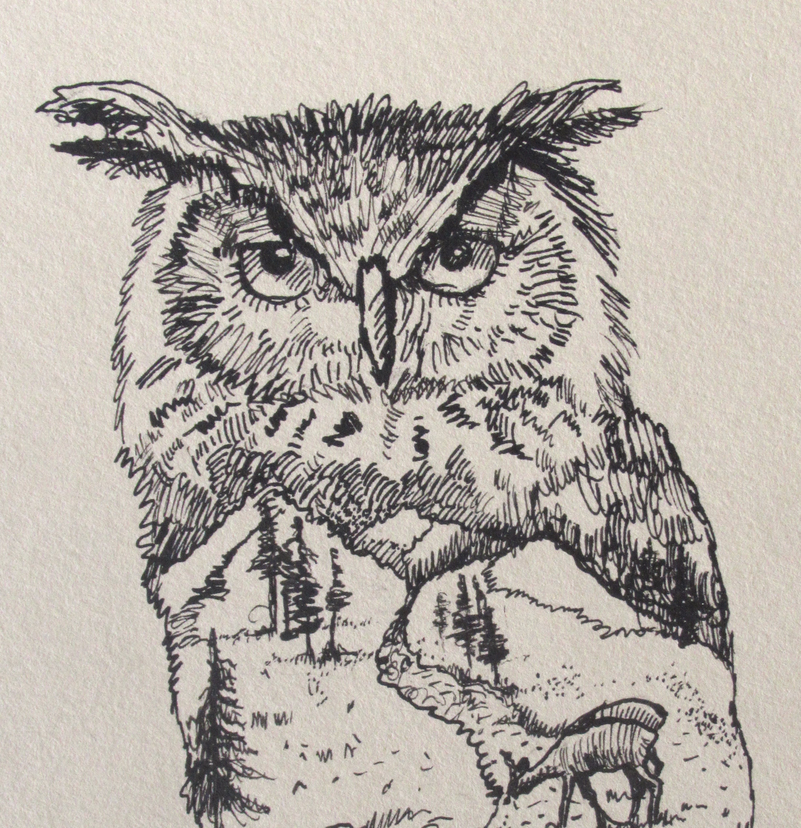Abstract Owl Drawing