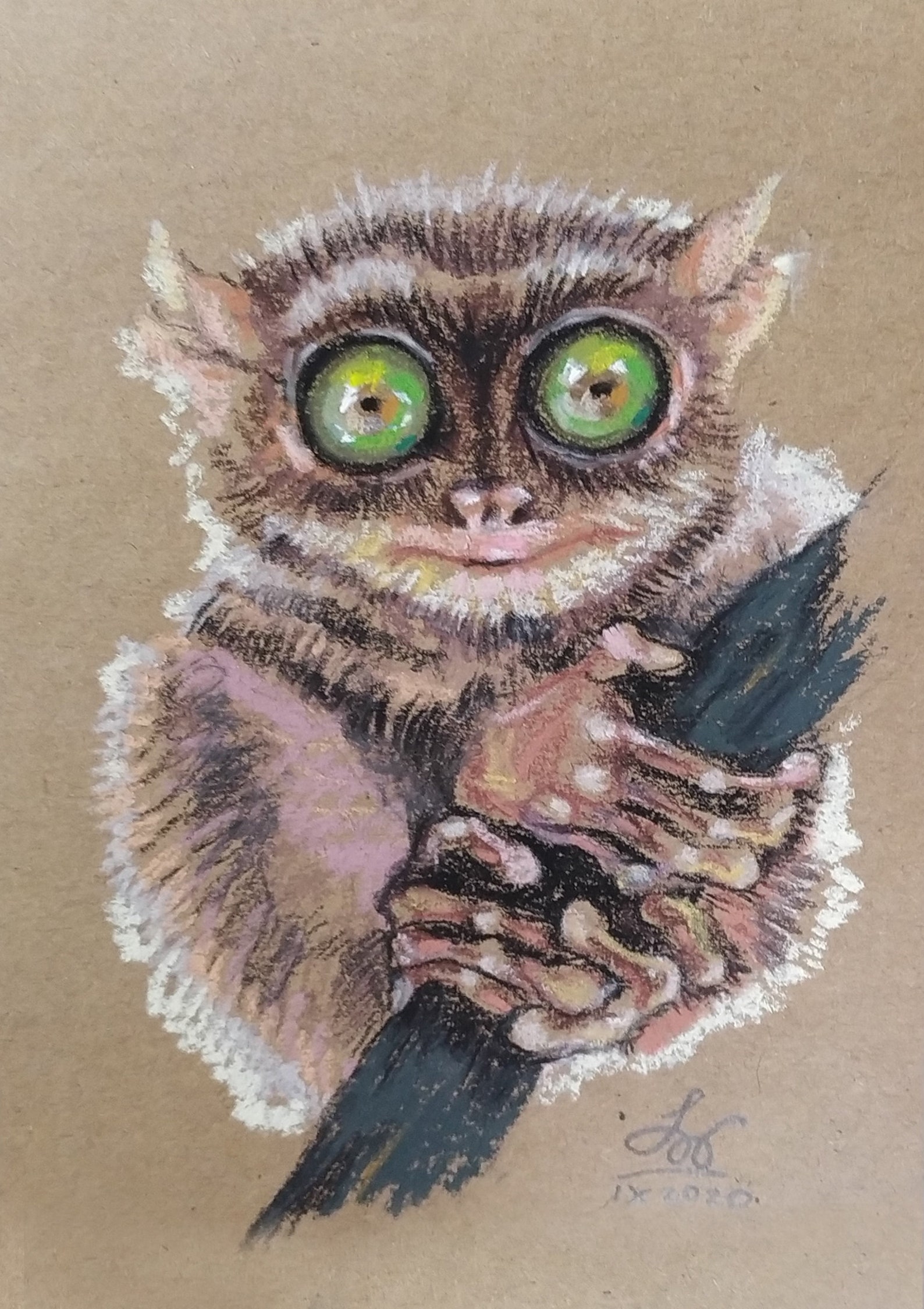 Tarsier Original Art Work Tarsier Drawing Pastels Kids Wall - Etsy New ...