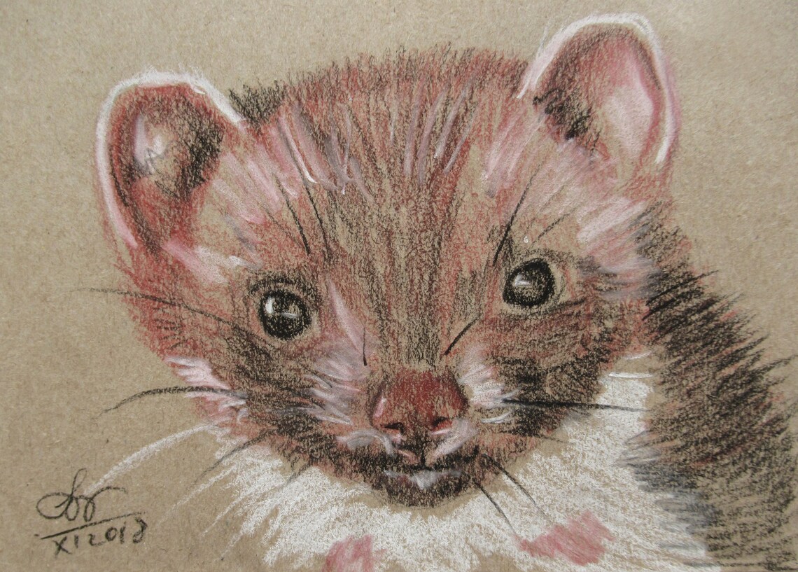 Marten Animal Original Drawing Woodland Nursery Decor Wall - Etsy