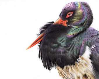 ariel little mermaid zombie disney scary painting pencil print