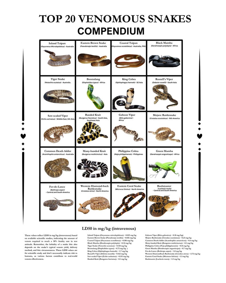20 Most Venomous Snakes in the World Compendium, Digital Download - Etsy