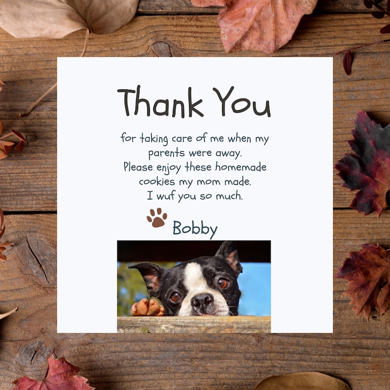 Dog Thank You Card for Babysitter Thank You Card Dog Thanks Square Card ...