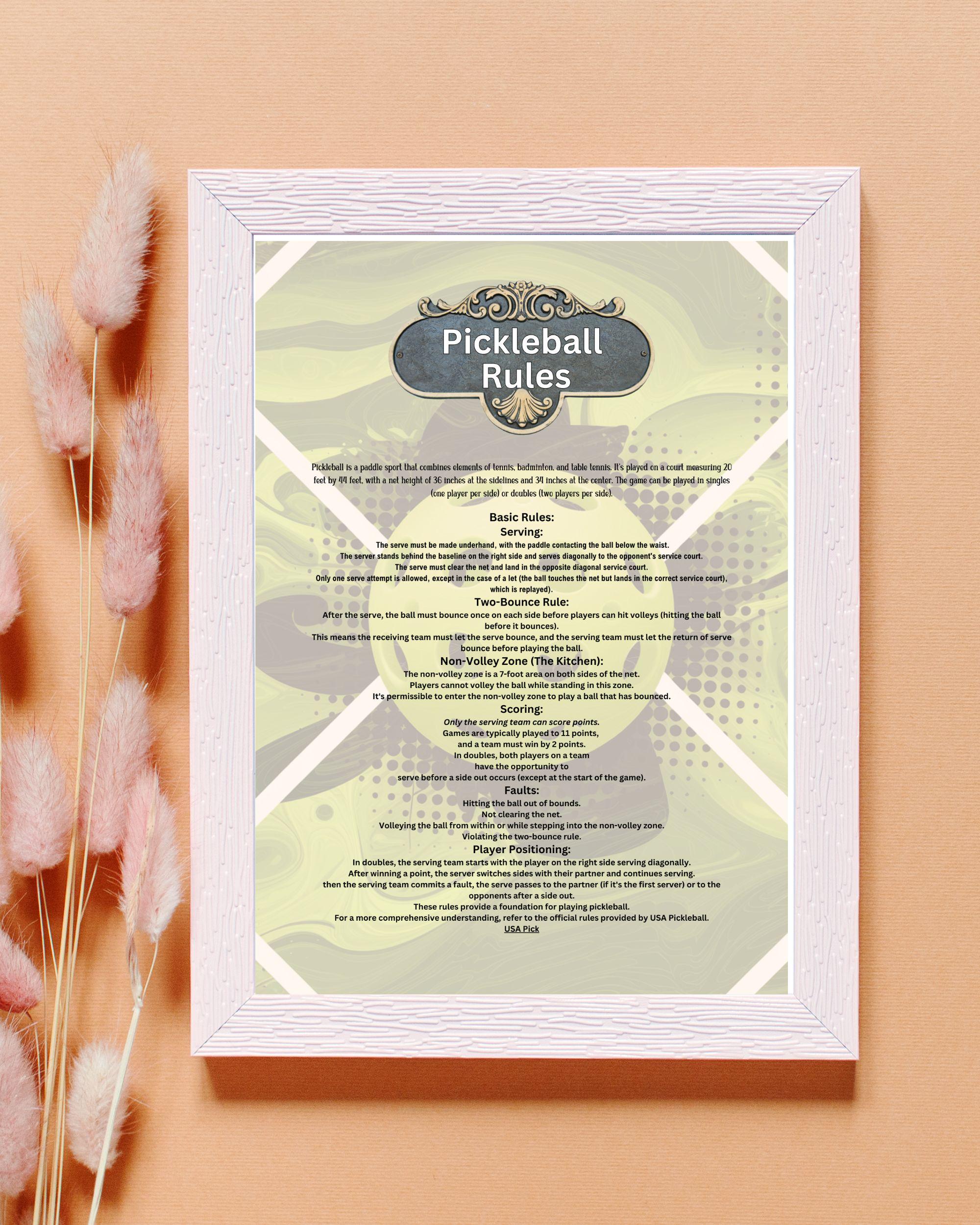 Pickleball Basic Rules Poster for Display - Etsy